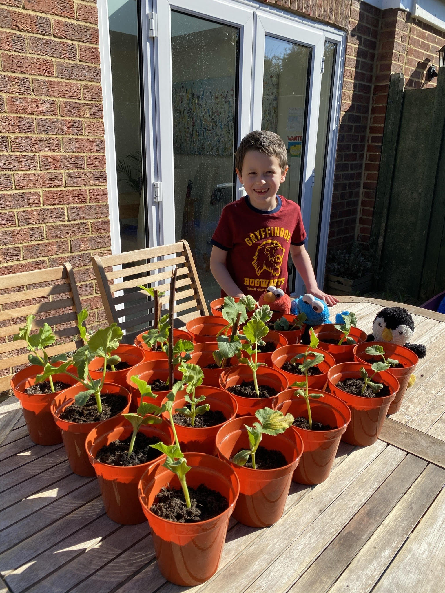 Pumpkin Growing Competition 2021 – Ozzy’s Garden